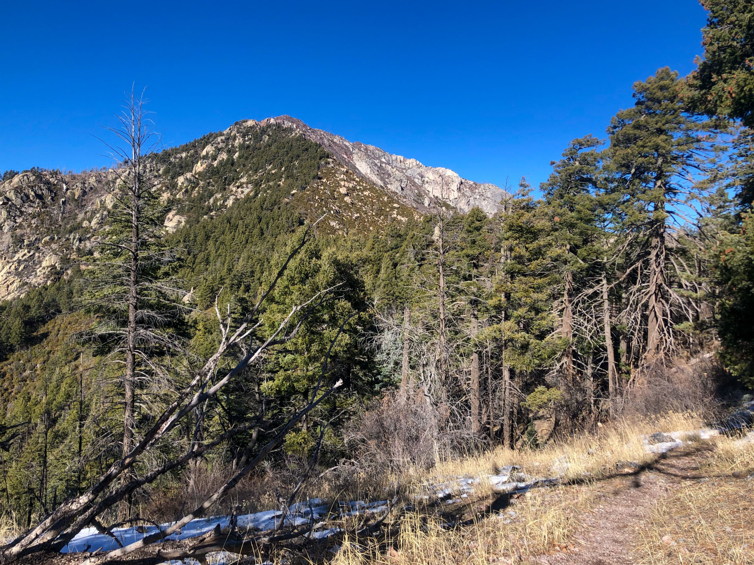 wild stew field crew update: Miller Peak Wilderness, Part 2 - Wild Arizona