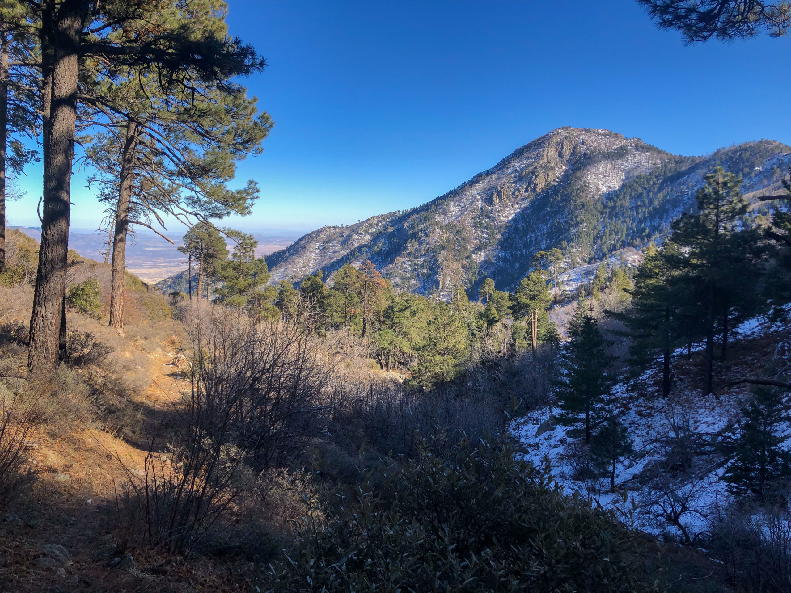 wild stew field crew update: Miller Peak Trail Maintenance, Part 3 ...