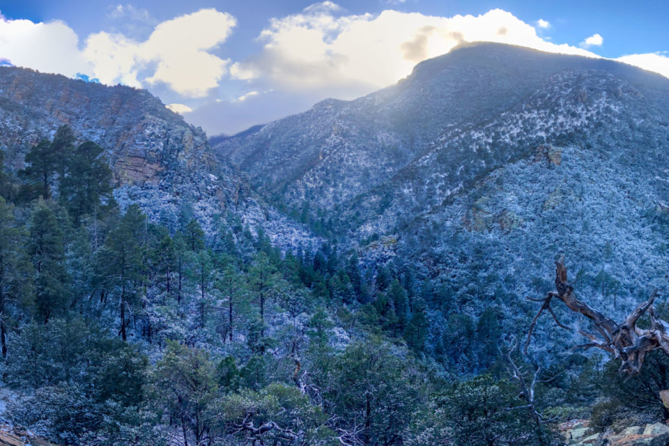 Wild Arizona is Arizona Wilderness Coalition & Grand Canyon Wildlands ...