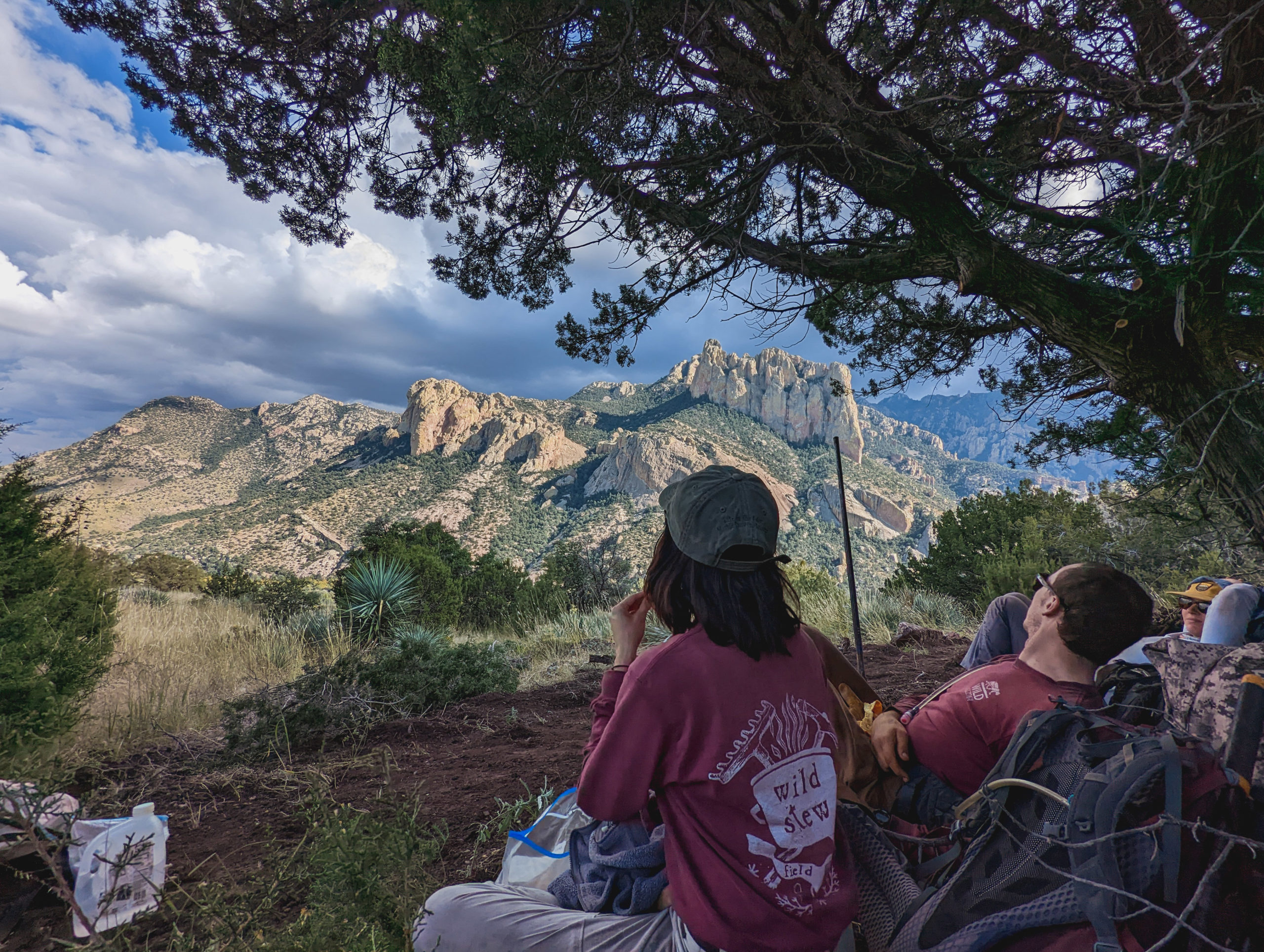 wild stew field crew update: Return to Silver Peak in the Chiricahua Mountains - Wild Arizona
