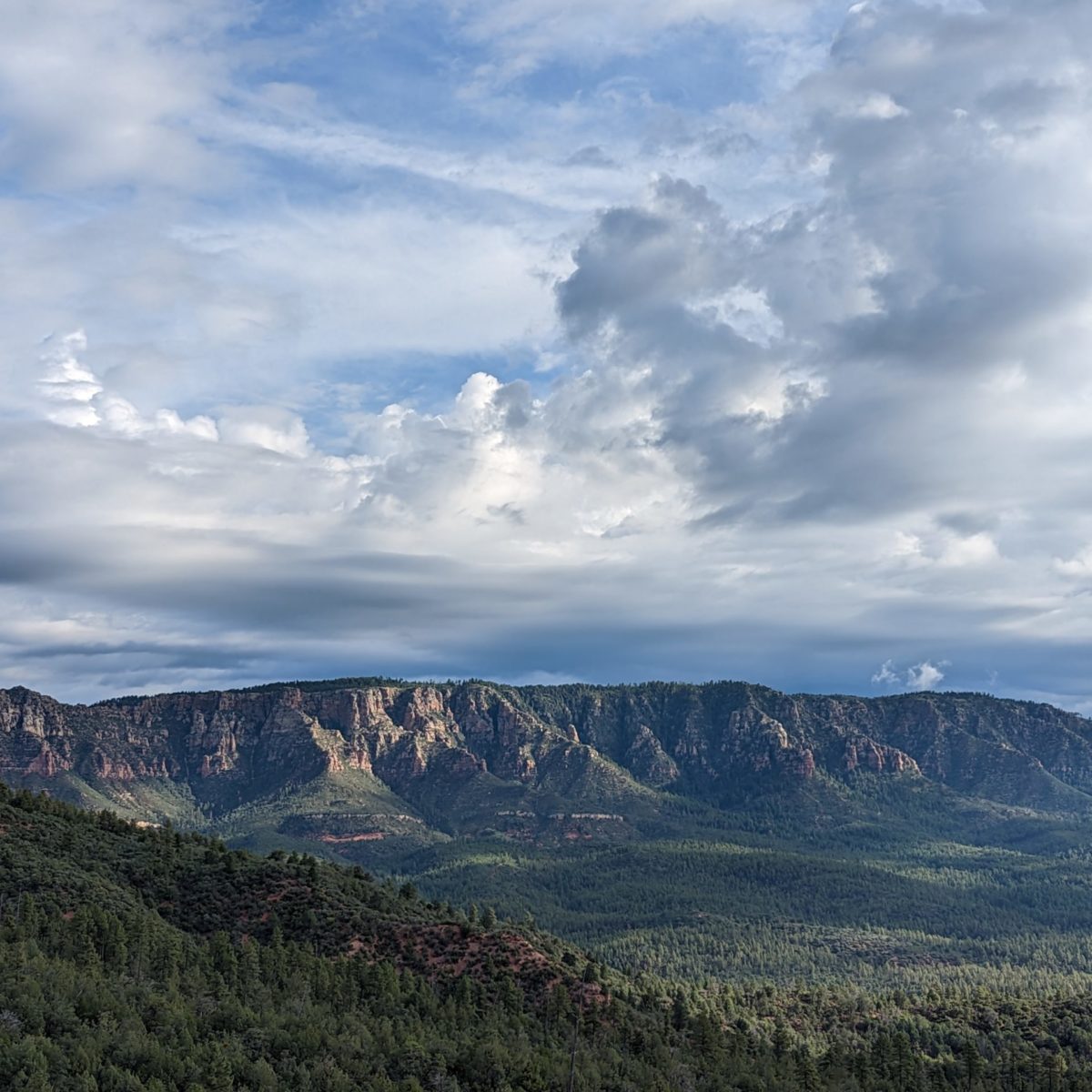Wild Arizona is Arizona Wilderness Coalition & Grand Canyon Wildlands ...