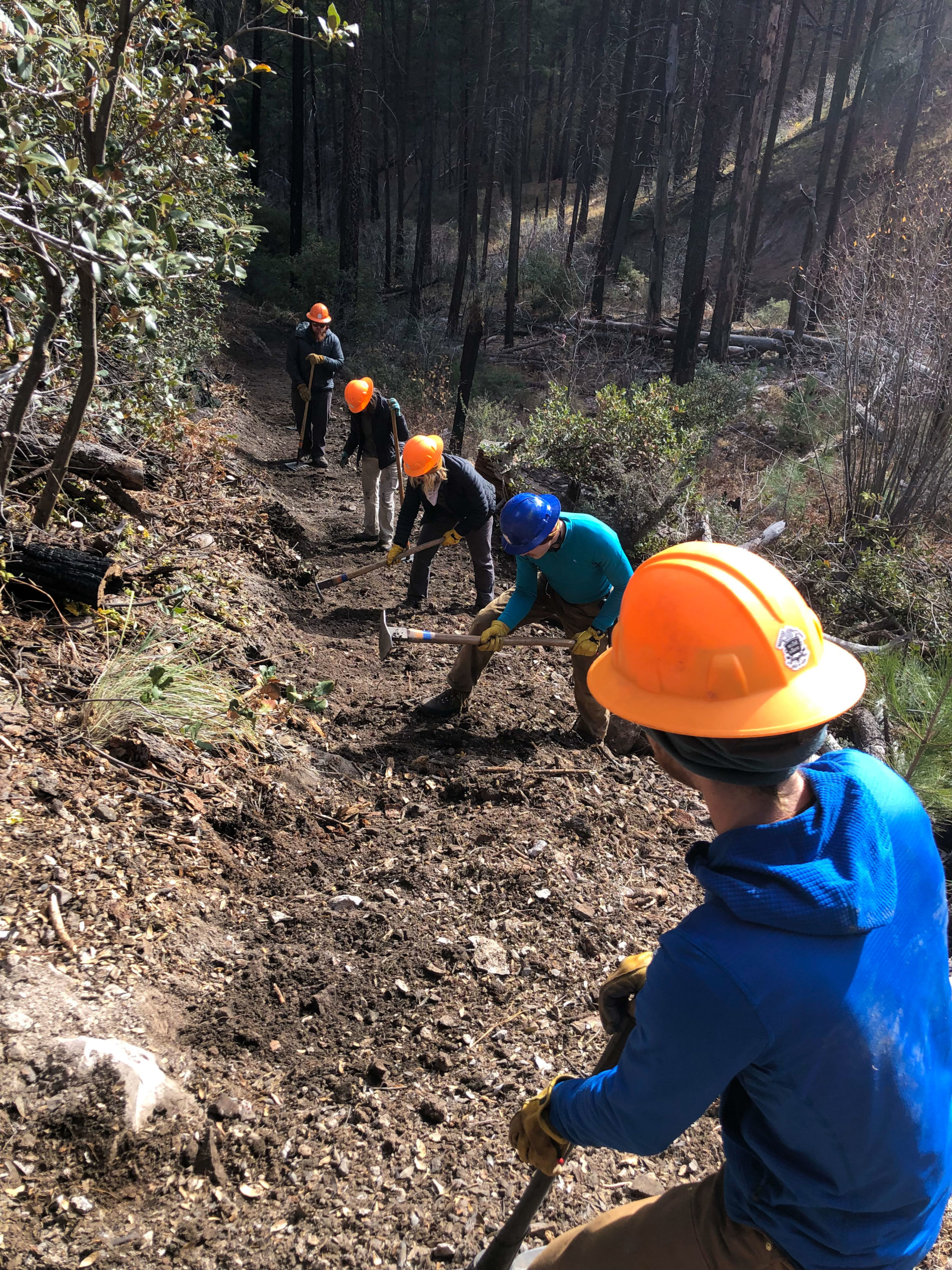 wild stew field crew update: Return to South Fork, Part I - Wild Arizona