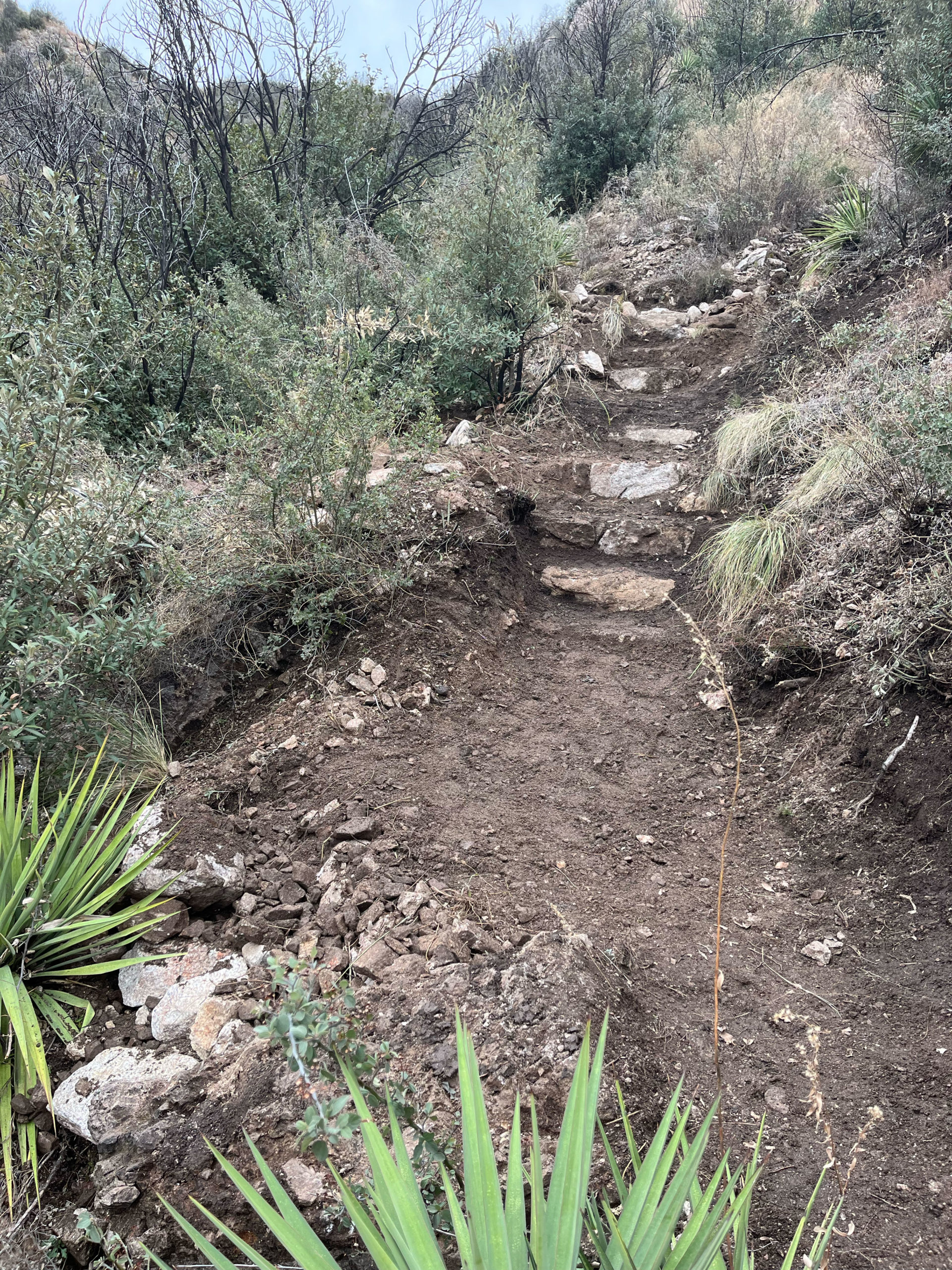wild stew field crew: Rushing Water & Warm Weather in Romero Canyon ...