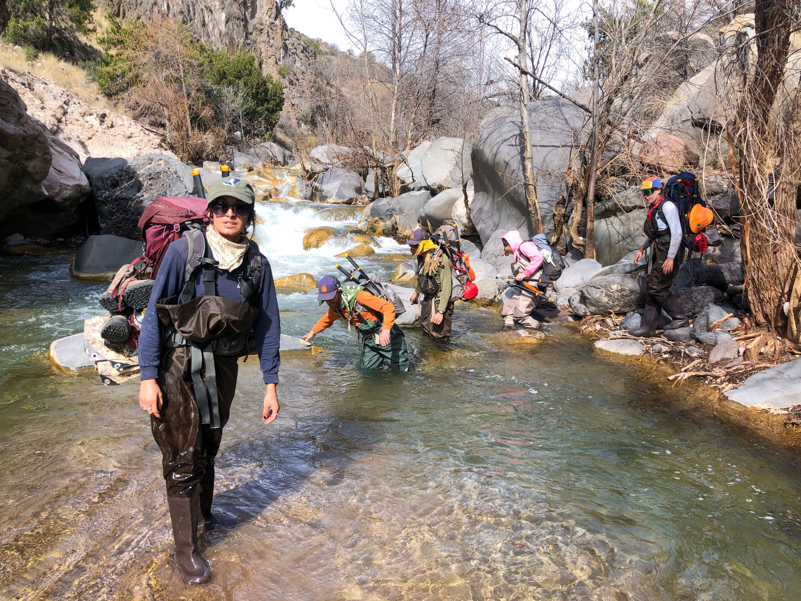 celebrating a year of historic conservation wins and a wilder future ...