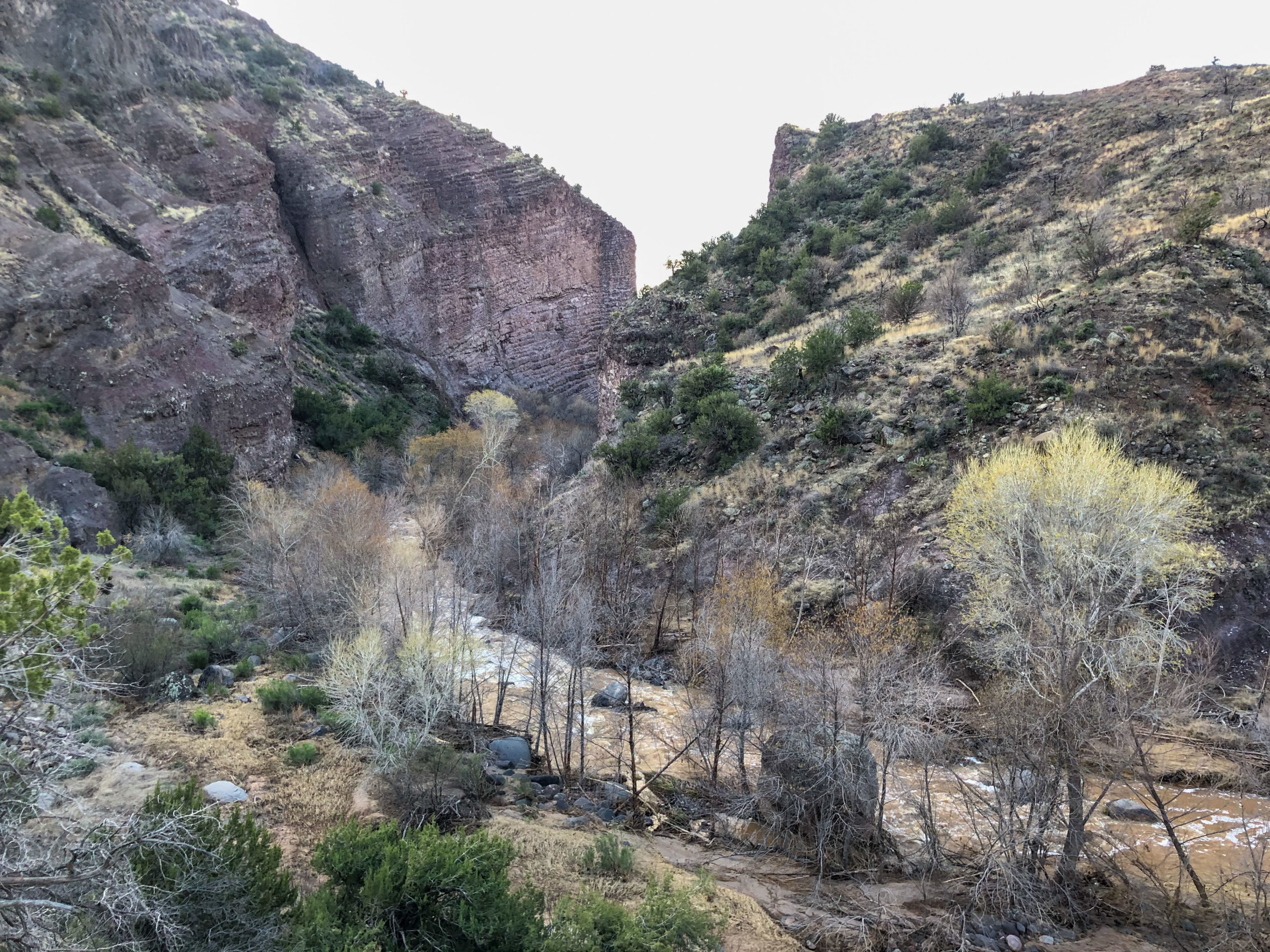 wild stew field crew: Our Week in Waders - Wild Arizona