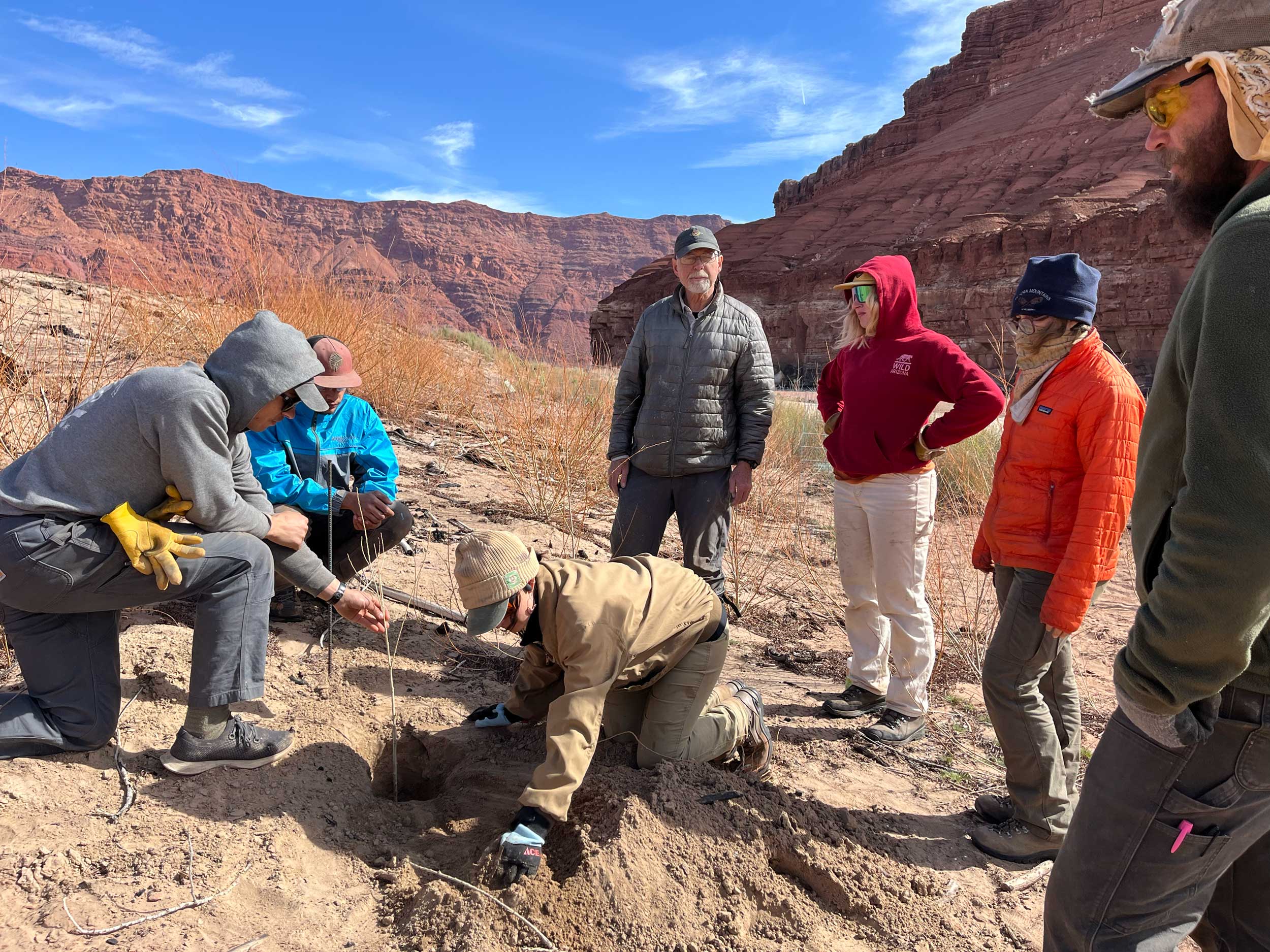 celebrating a year of historic conservation wins and a wilder future ...