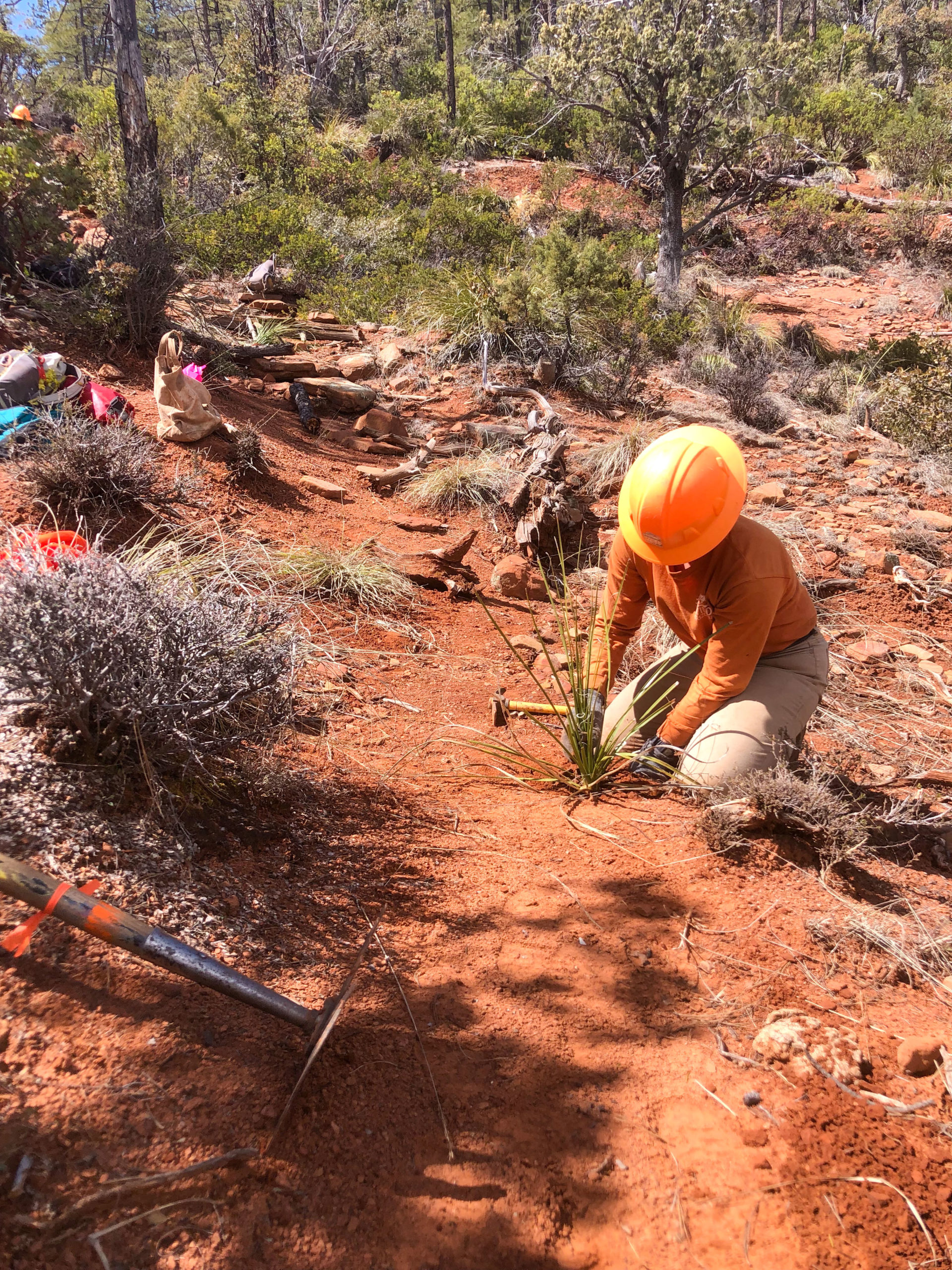 wild stew field crew: Renaturalizing the Highline - Wild Arizona