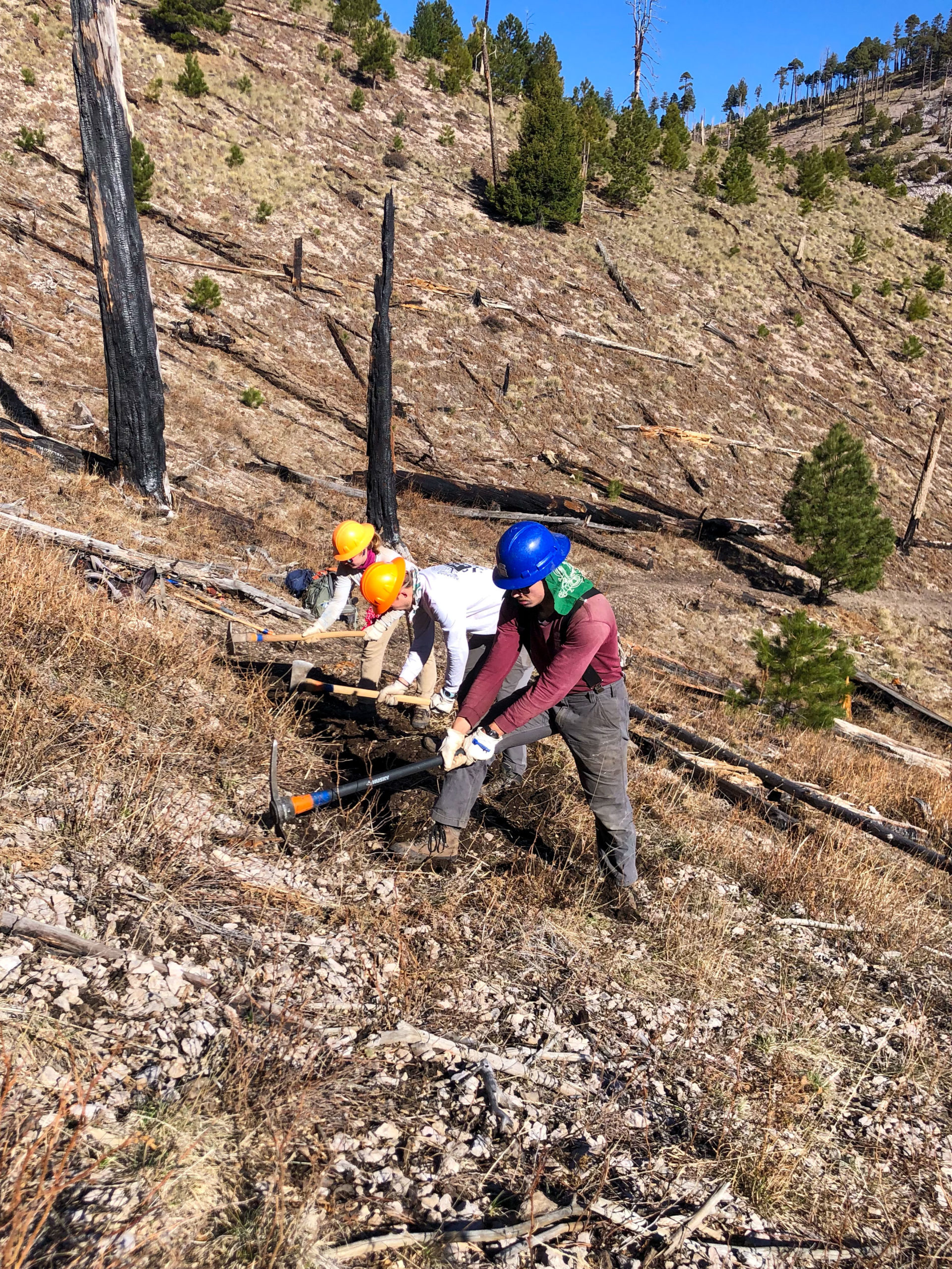 wild stew field crew: Finishing the South Fork Trail in the Chiricahua ...
