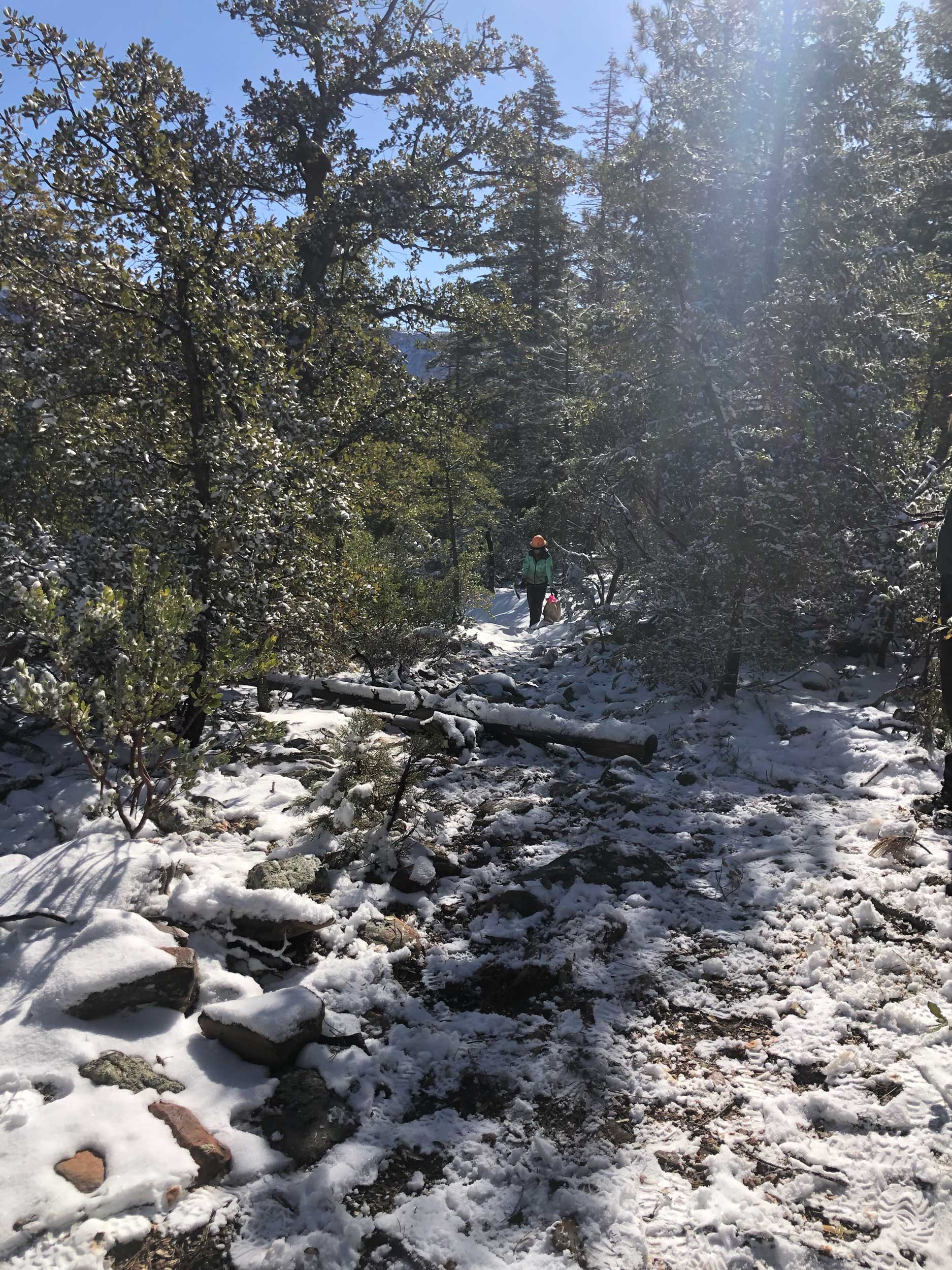 wild stew field crew: Renaturalizing the Highline - Wild Arizona