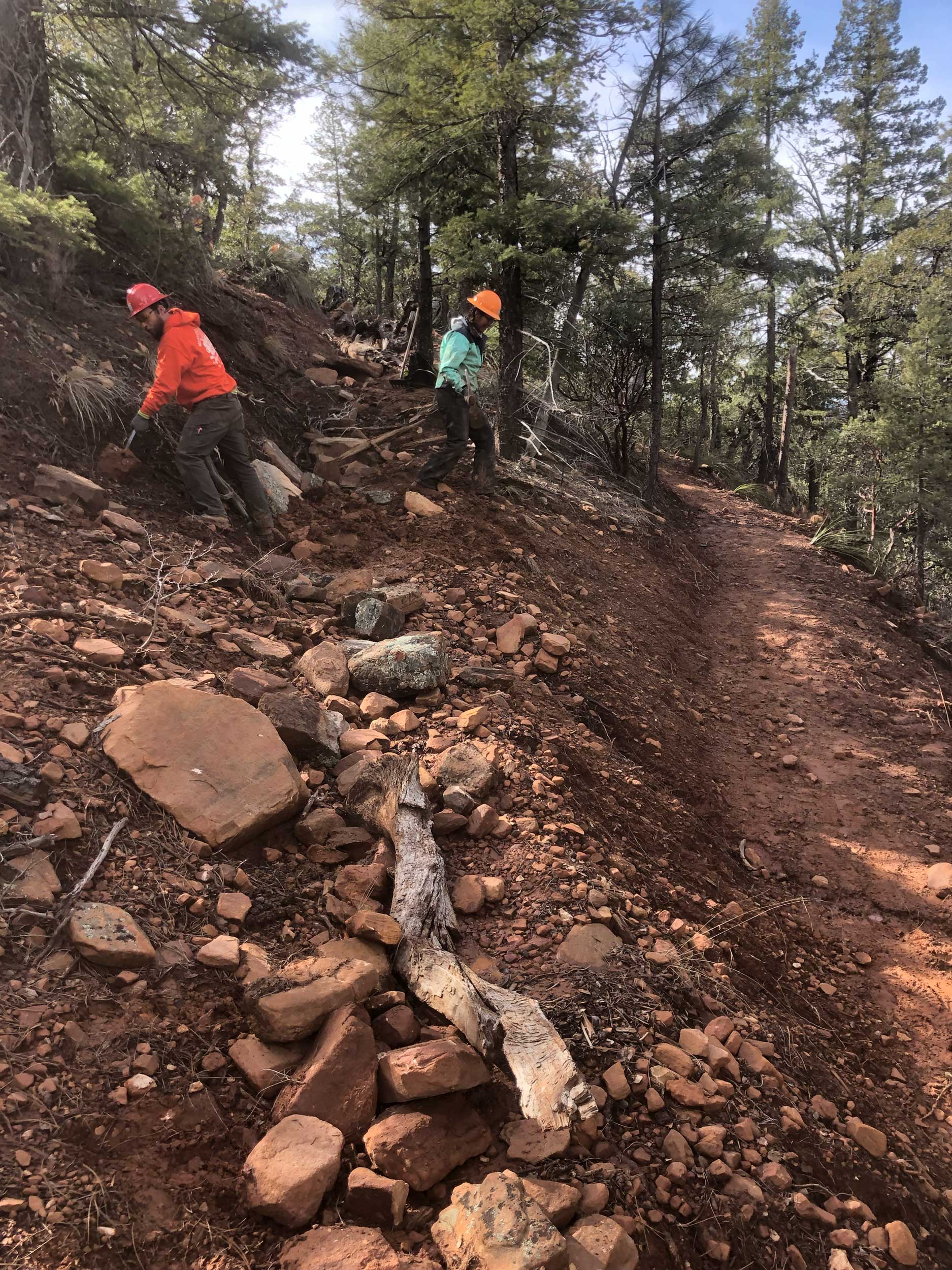 wild stew field crew: Renaturalizing the Highline - Wild Arizona