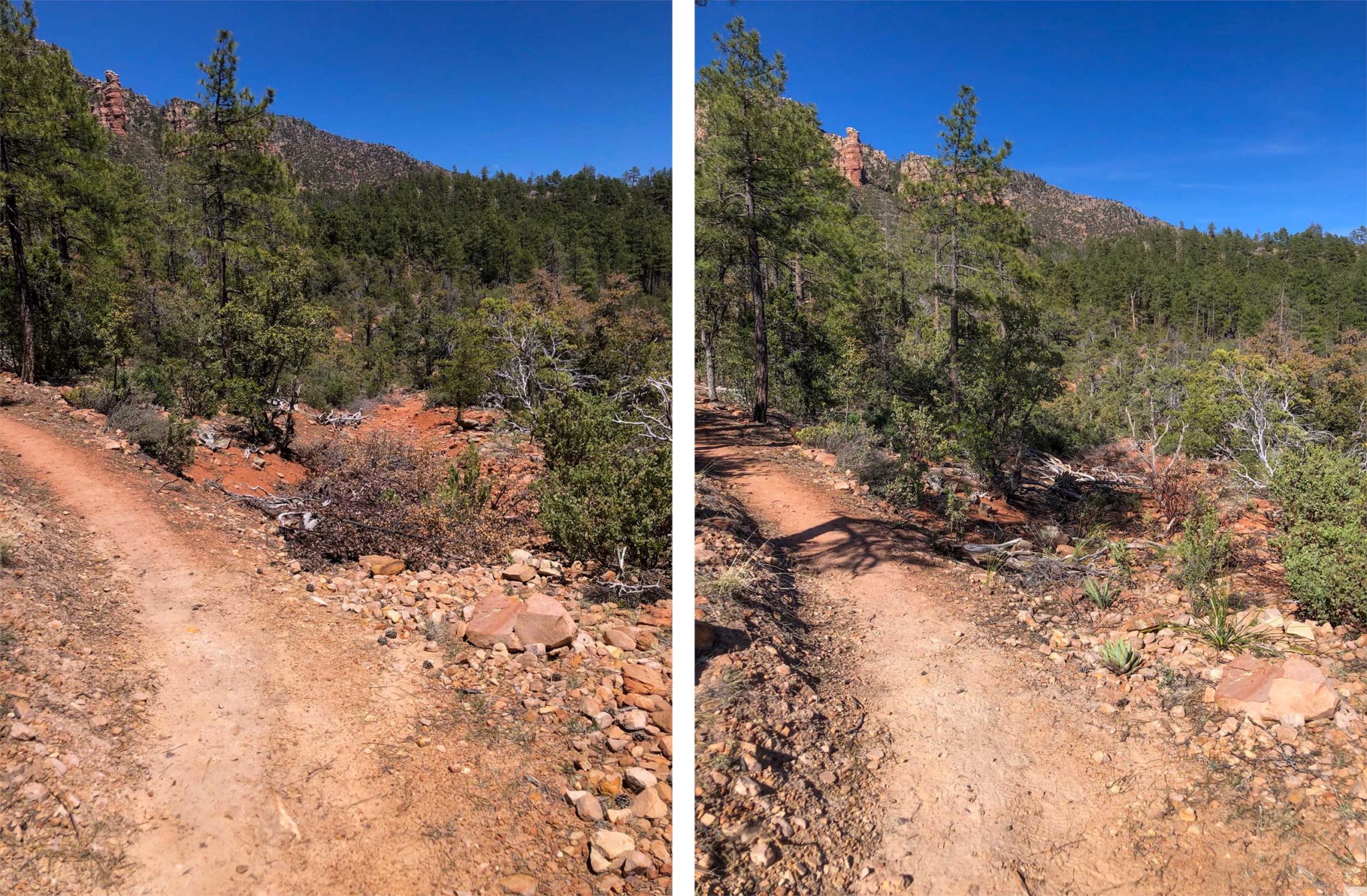 wild stew field crew: Returning to the Highline - Wild Arizona