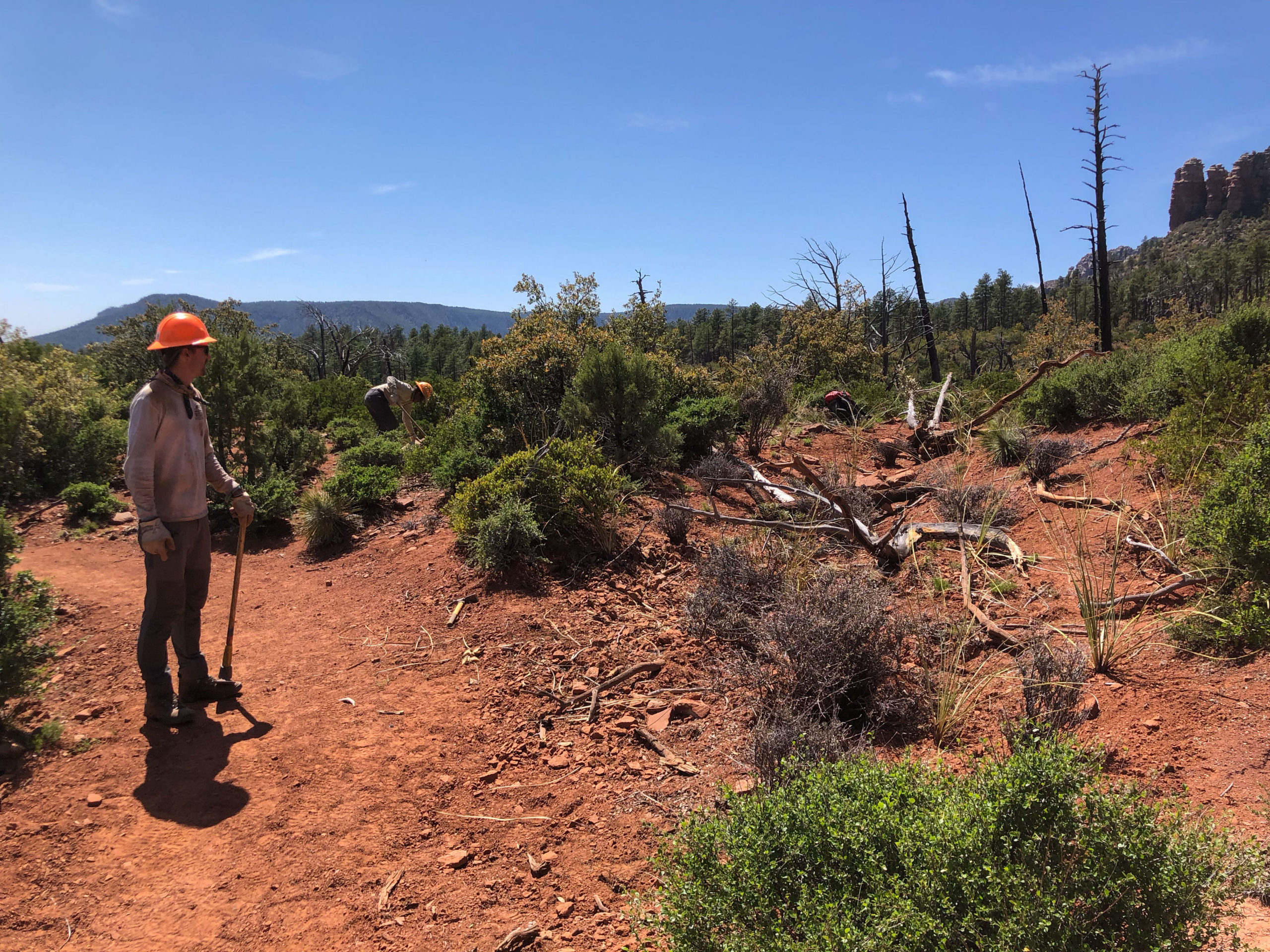 wild stew field crew: Returning to the Highline - Wild Arizona