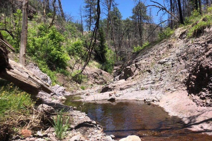 Wild Arizona is Arizona Wilderness Coalition & Grand Canyon Wildlands ...