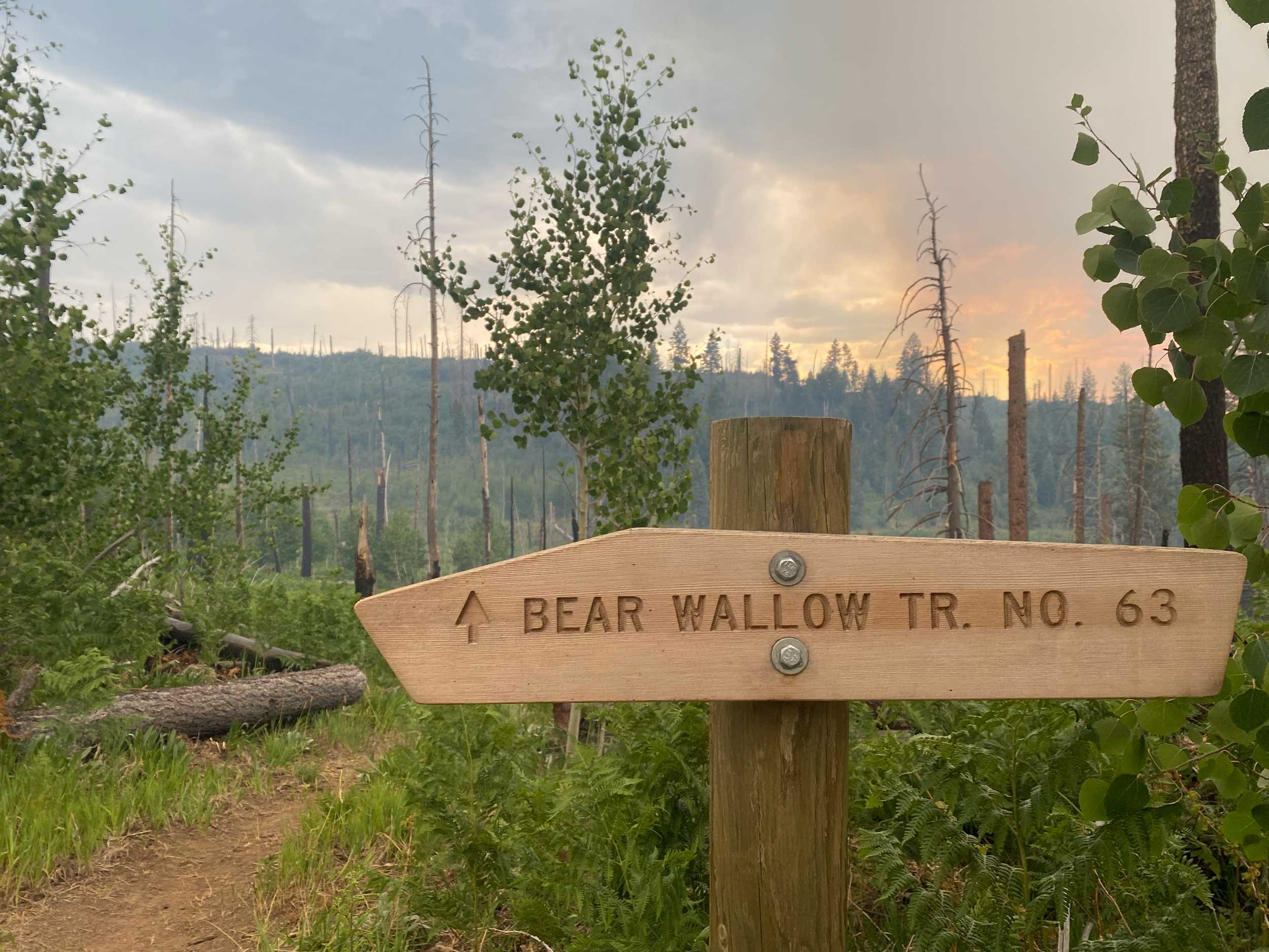 wild stew field crew: Bear Wallow Wilderness - Wild Arizona