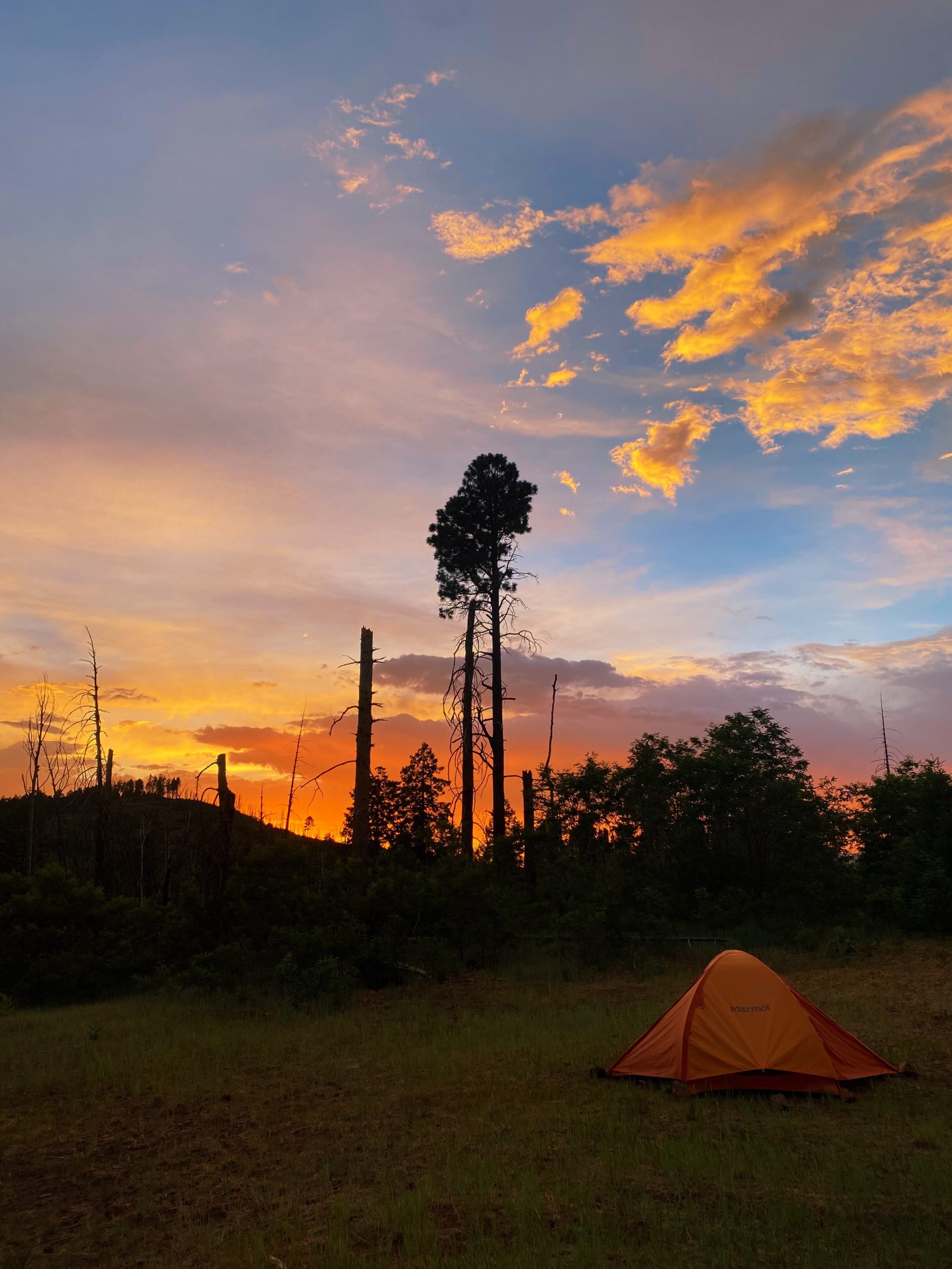 wild stew field crew: Bear Wallow Wilderness - Wild Arizona