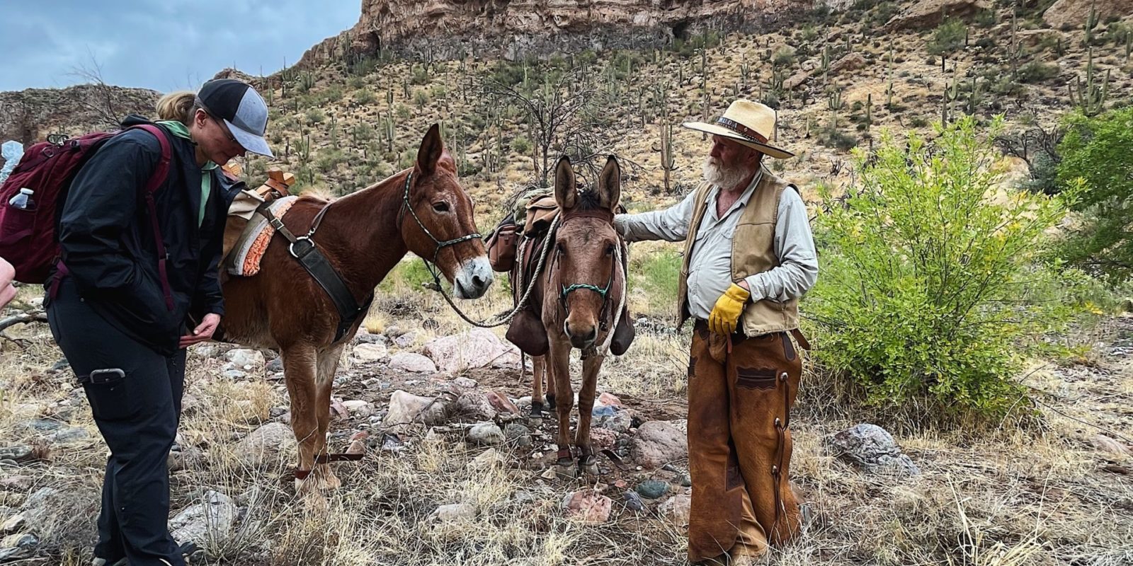 Wild Arizona is Arizona Wilderness Coalition & Grand Canyon Wildlands ...