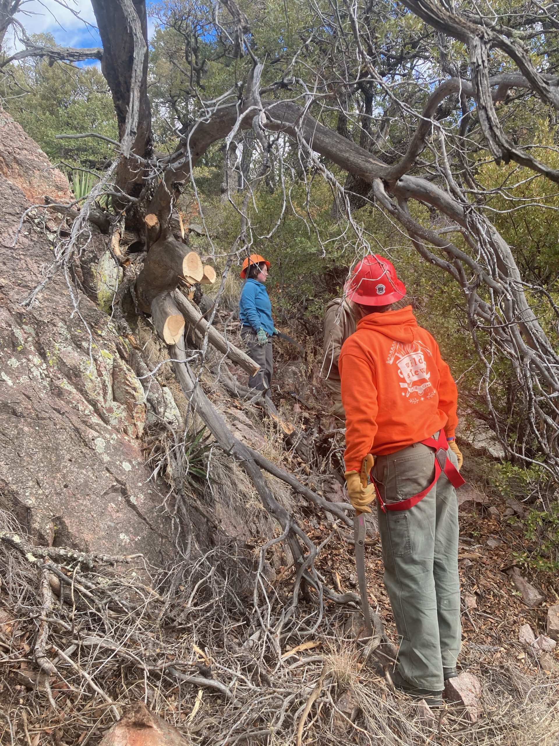 wild stew field crew: Adventures in the Western Chiricahuas - Wild Arizona