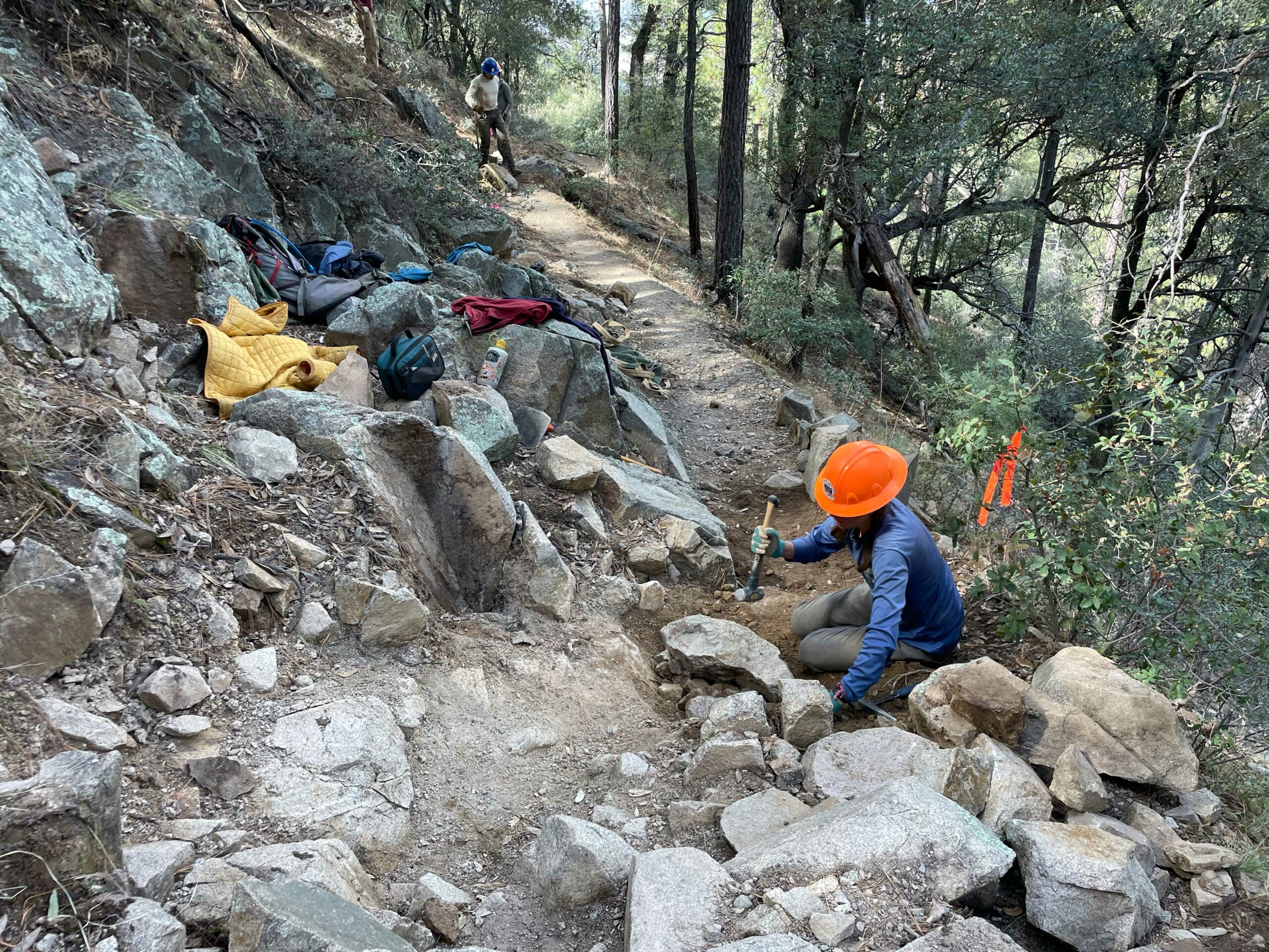 wild stew field crew: A Smashing Time in Madera Canyon - Wild Arizona