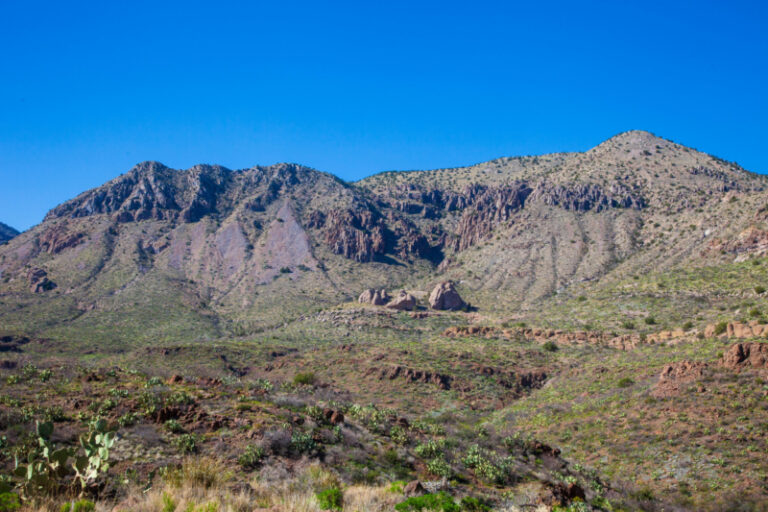 Wild Arizona is Arizona Wilderness Coalition & Grand Canyon Wildlands ...