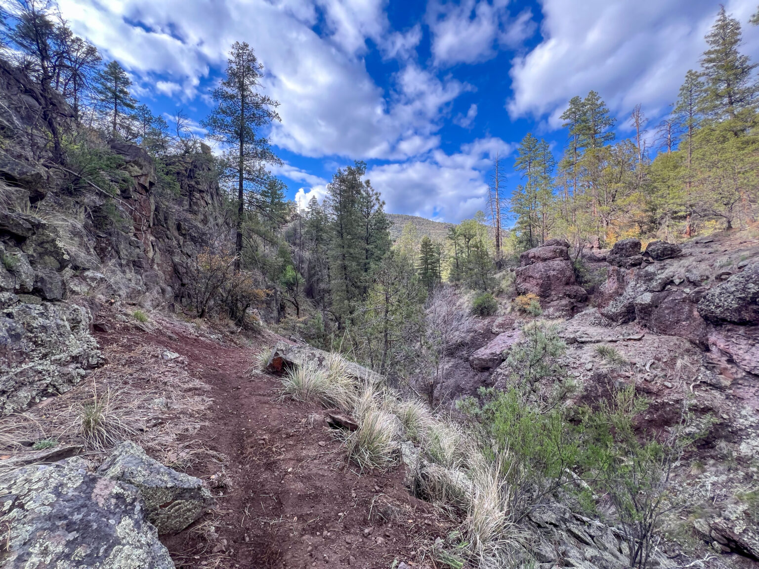 Wild Arizona is Arizona Wilderness Coalition & Grand Canyon Wildlands ...