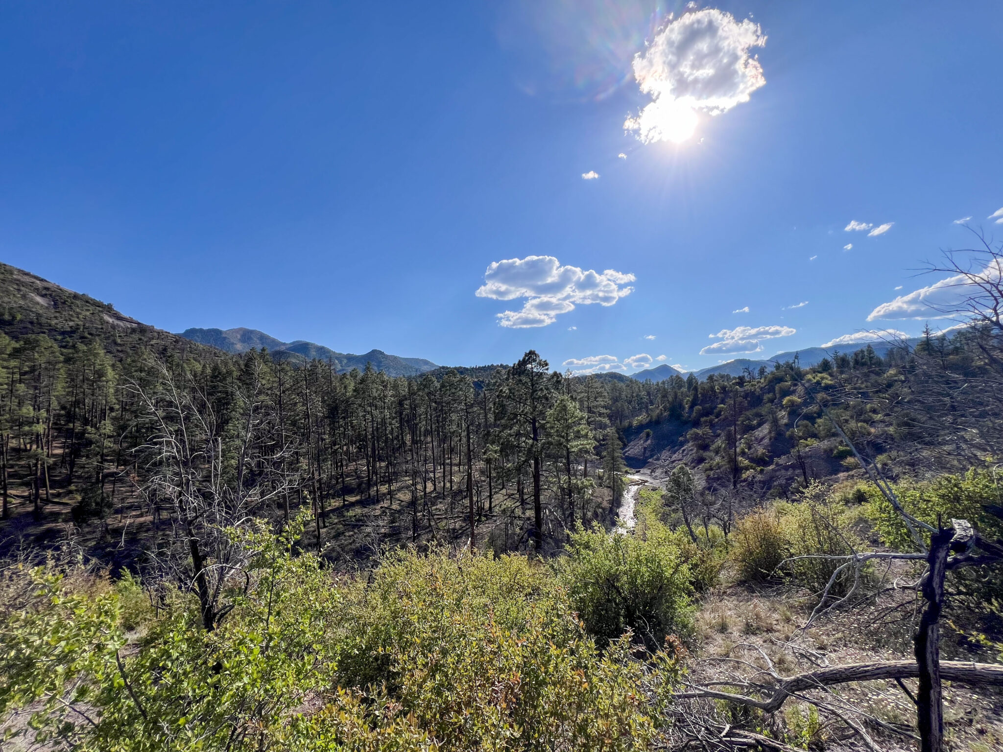 Wild Arizona is Arizona Wilderness Coalition & Grand Canyon Wildlands ...