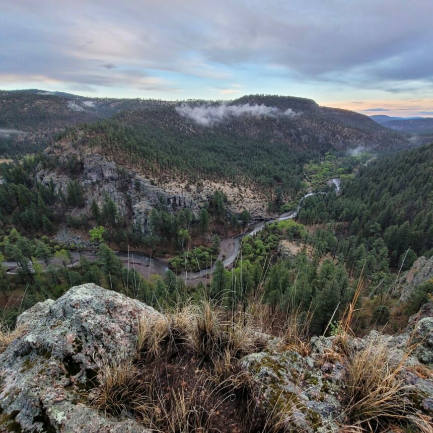 Wild Arizona is Arizona Wilderness Coalition & Grand Canyon Wildlands ...