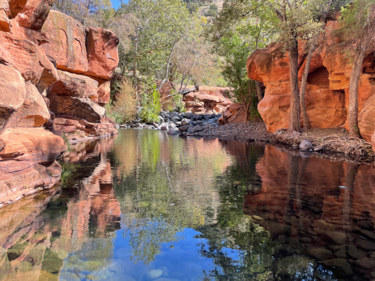 Wild Arizona is Arizona Wilderness Coalition & Grand Canyon Wildlands ...