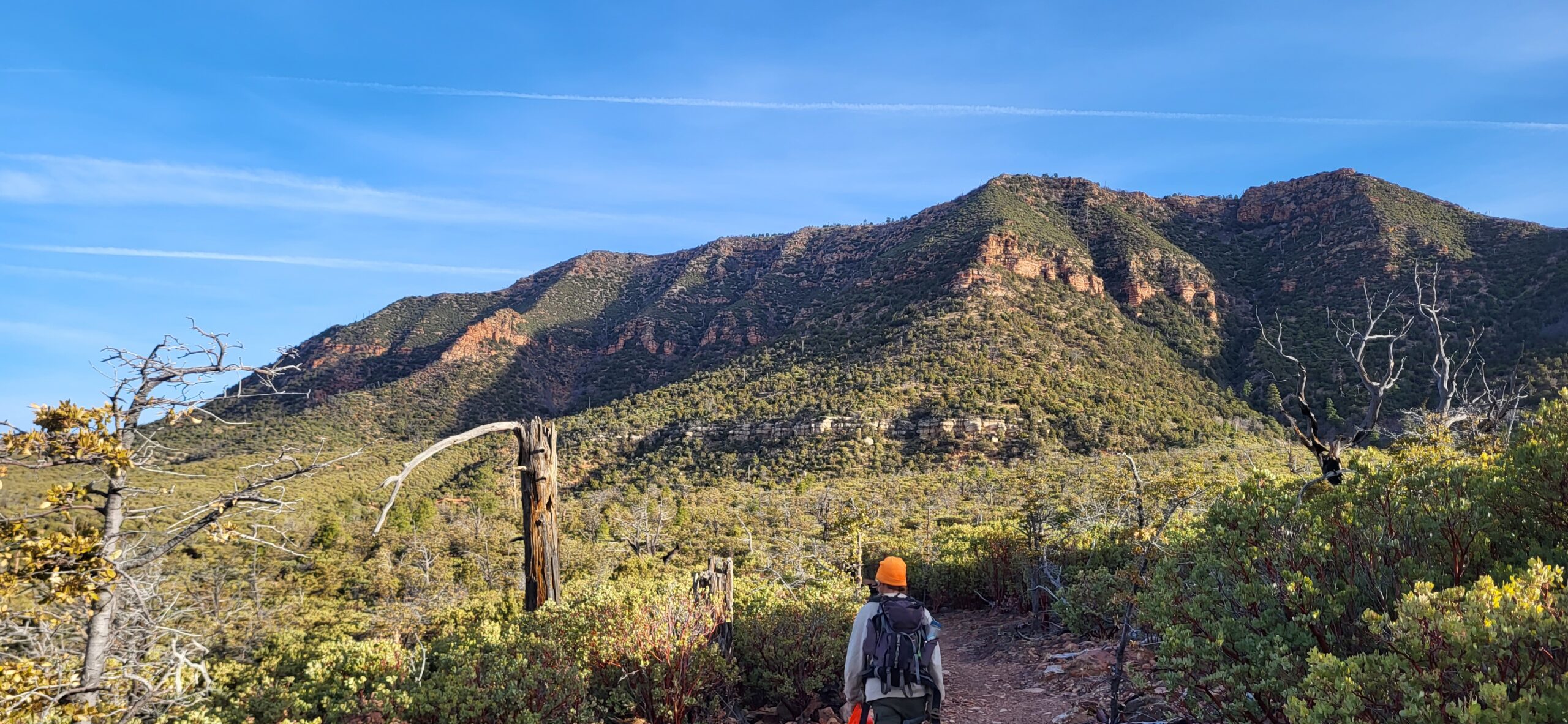 wild stew field crew: High Winds on the Highline - Wild Arizona
