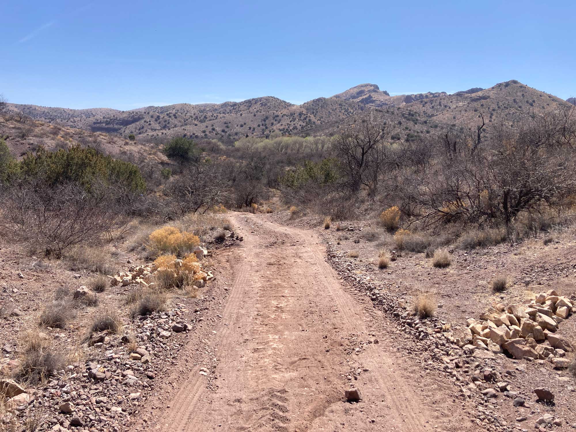 wild stew field crew: Brain Rock — Treatment of Incised Washes Using ...