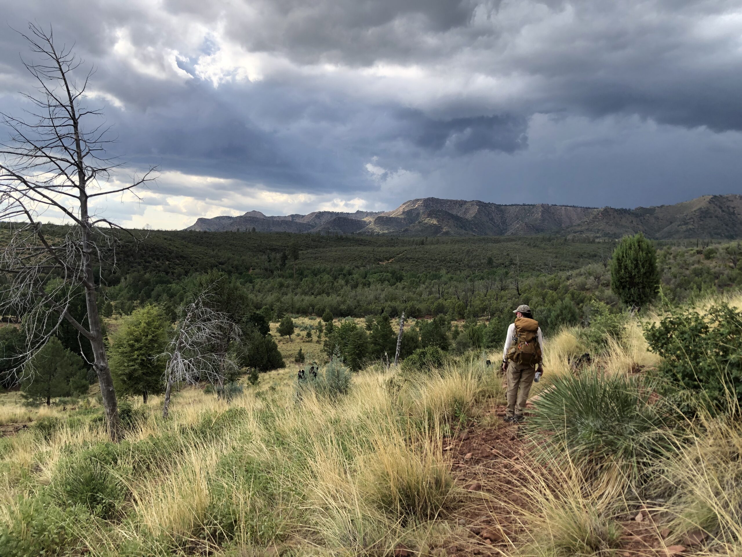 wild stew field crew: Operation Highline 2 — Return of the Rock - Wild ...