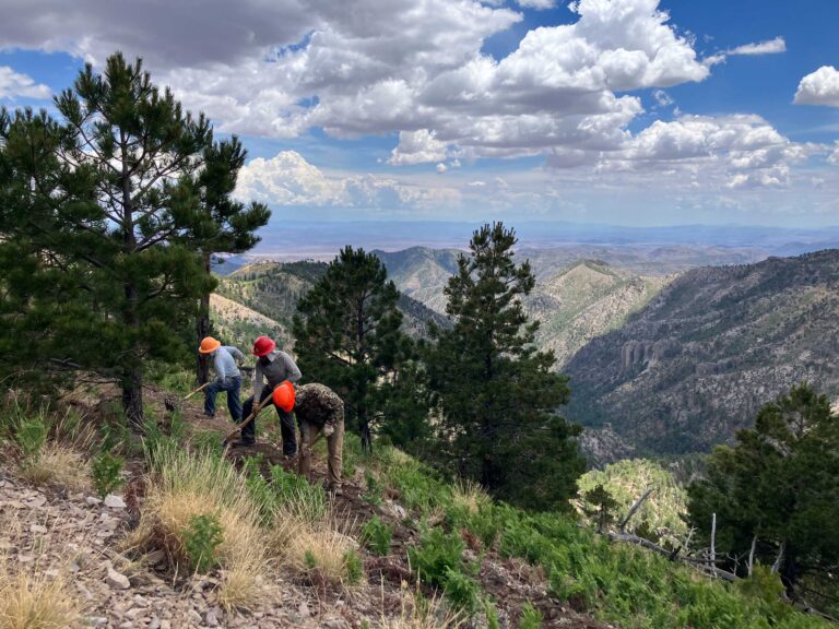 wild stew field crew: Retreading the Chiricahuas’ Crest Trail - Wild ...