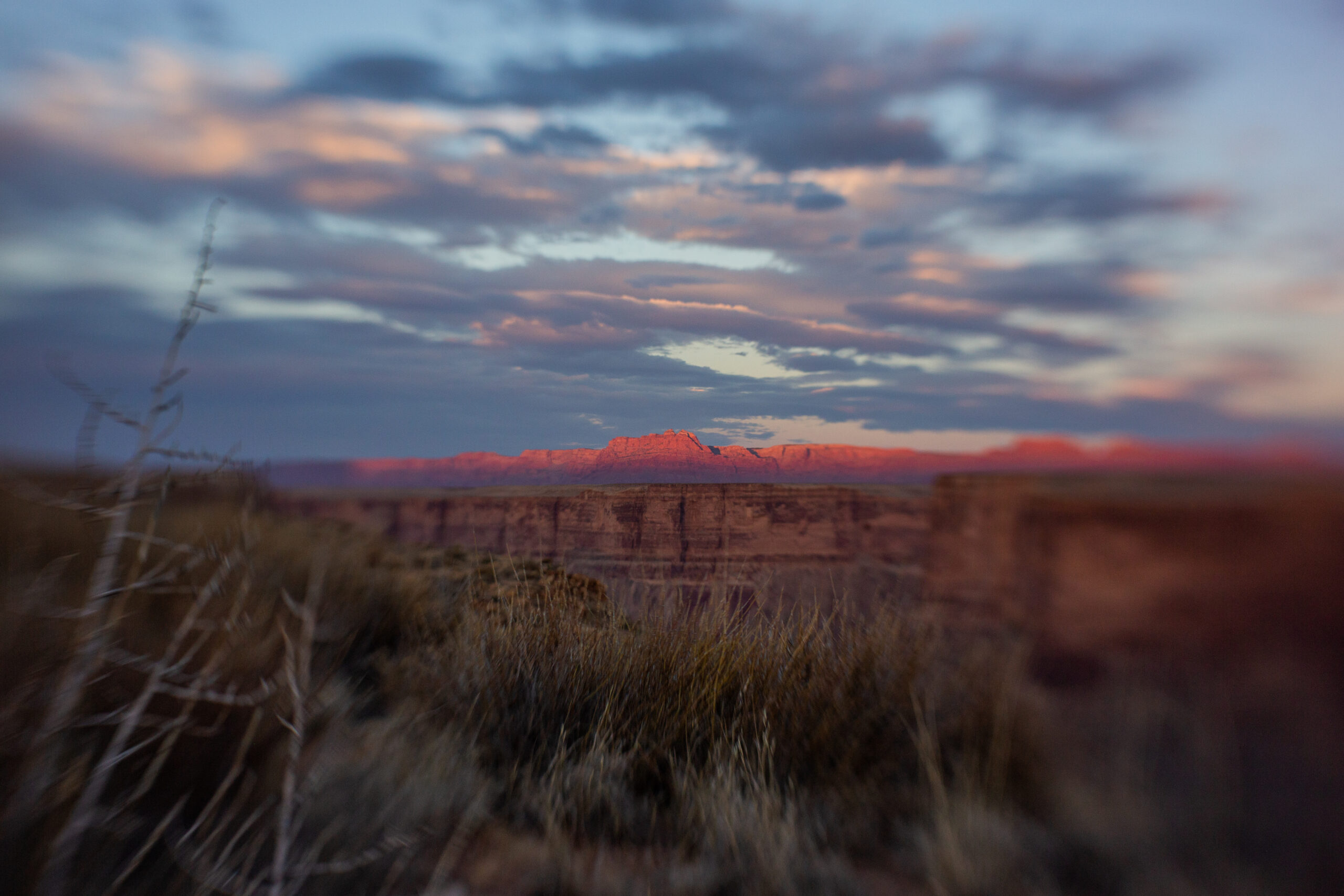 Monumental Legislative Mistakes - Wild Arizona