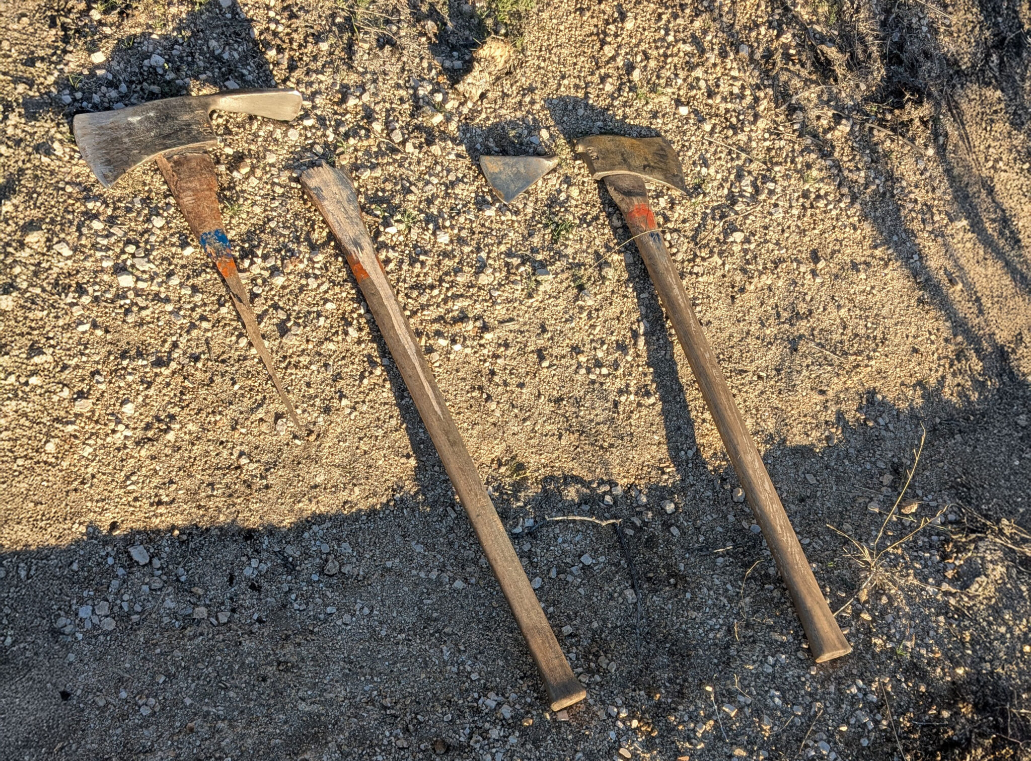 wild stew field crew: Rare Sights & Lights in the Santa Catalina ...